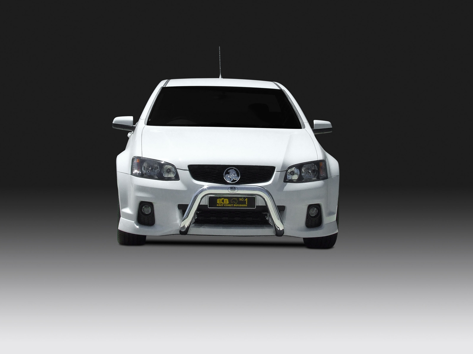 ECB Polished Nudge Bar to suit Holden Commodore VE S2 SS 09/10 - 04/13 ...